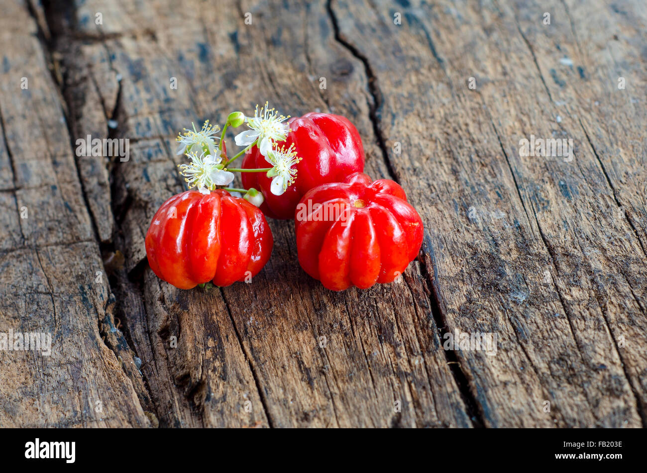 Tropical fruit called Pitanga, Brazilian cherry,Suriname cherry,Cayenne ...