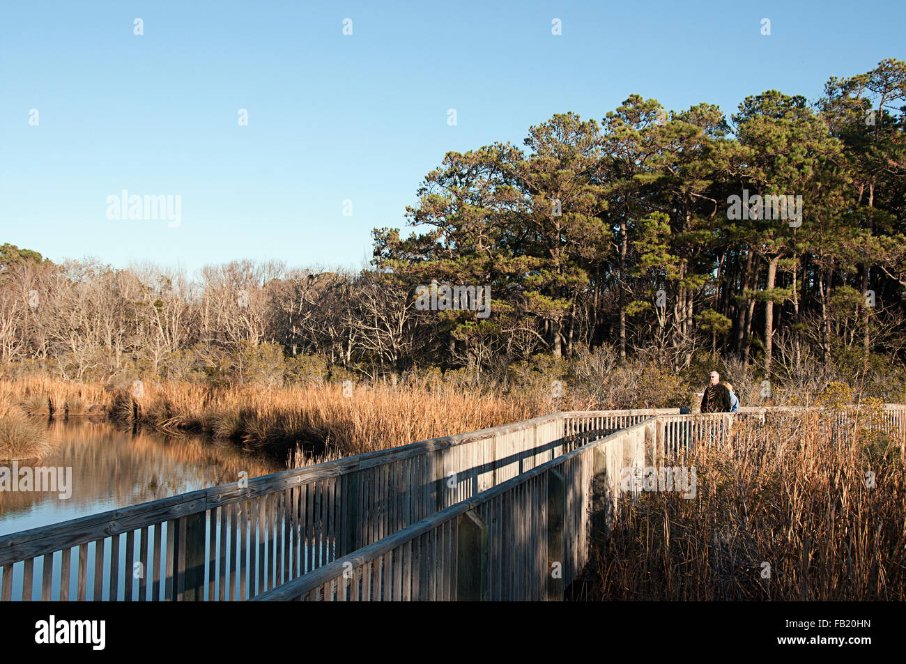 Currituck wildlife refuge hi-res stock photography and images - Alamy