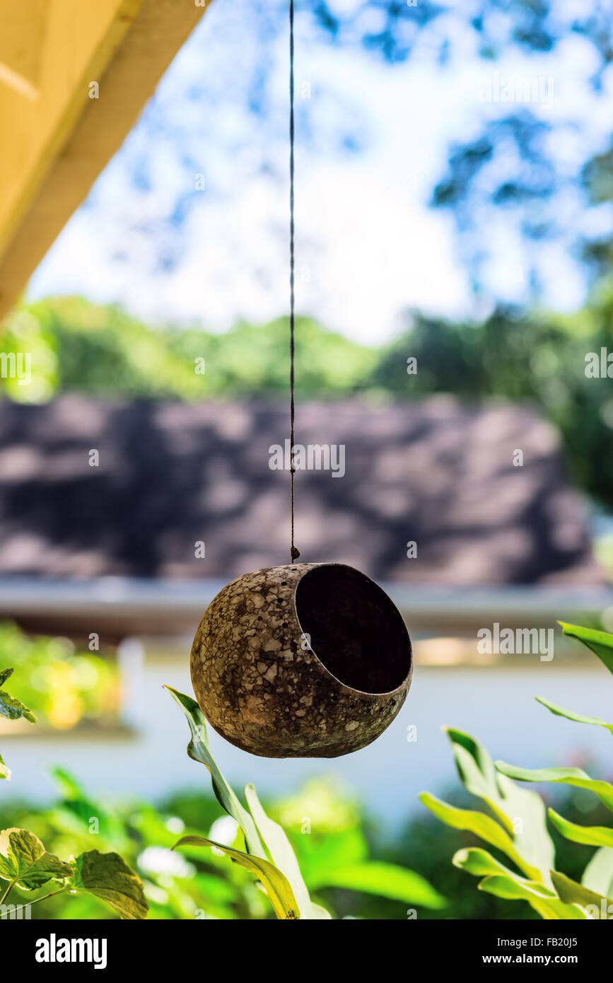 Small bird on a string hi-res stock photography and images - Alamy