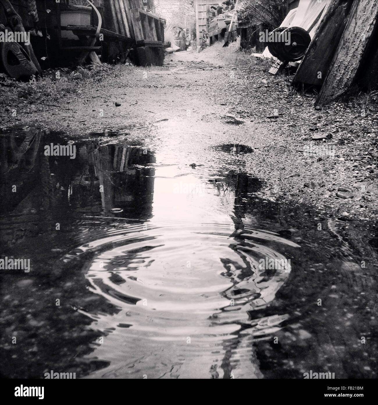 raindrop in puddle Stock Photo - Alamy
