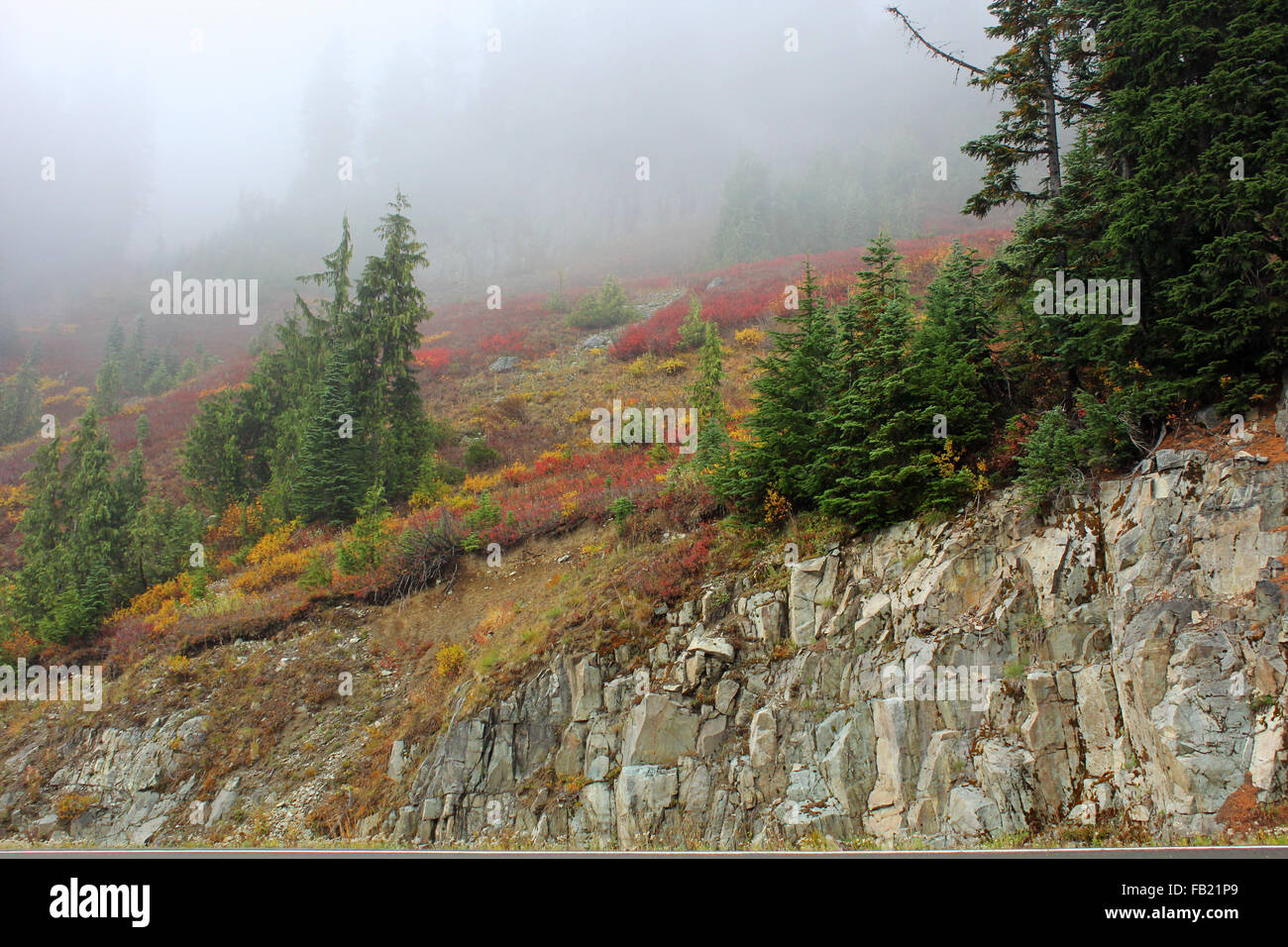 Cliff gray hi-res stock photography and images - Alamy