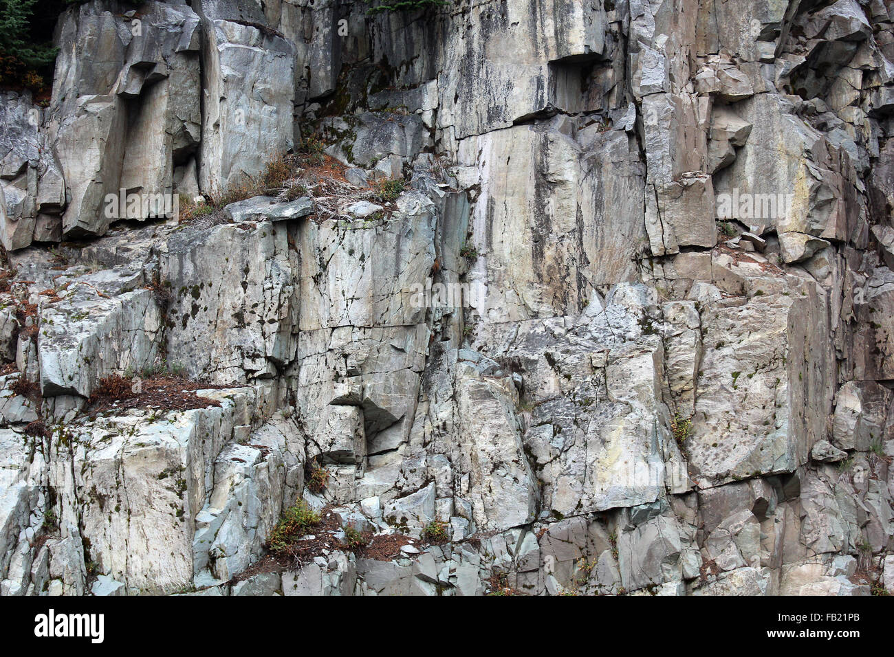White vertical face, rock wall close up Stock Photo - Alamy