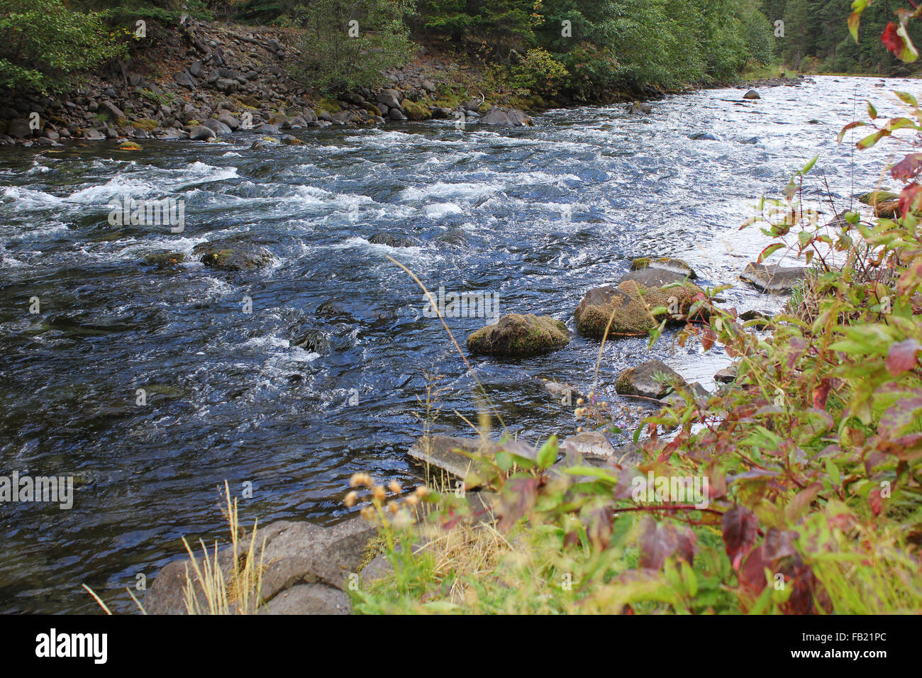 Clear mountain stream both banks Stock Photo - Alamy