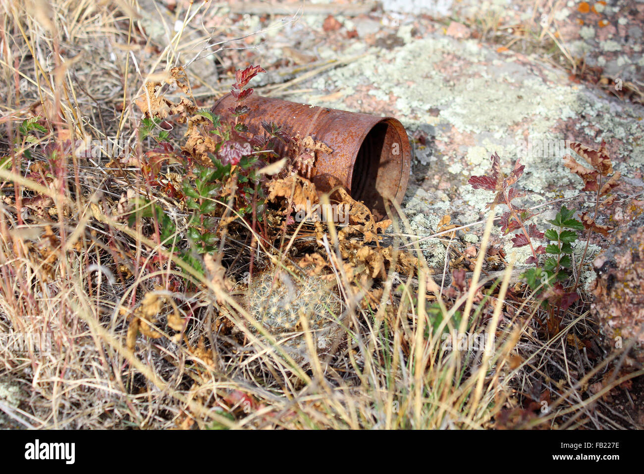 rusty old tin can Stock Photo - Alamy