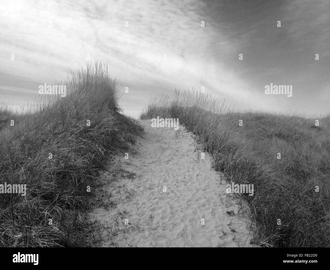 Black and white beach landscape Stock Photo - Alamy