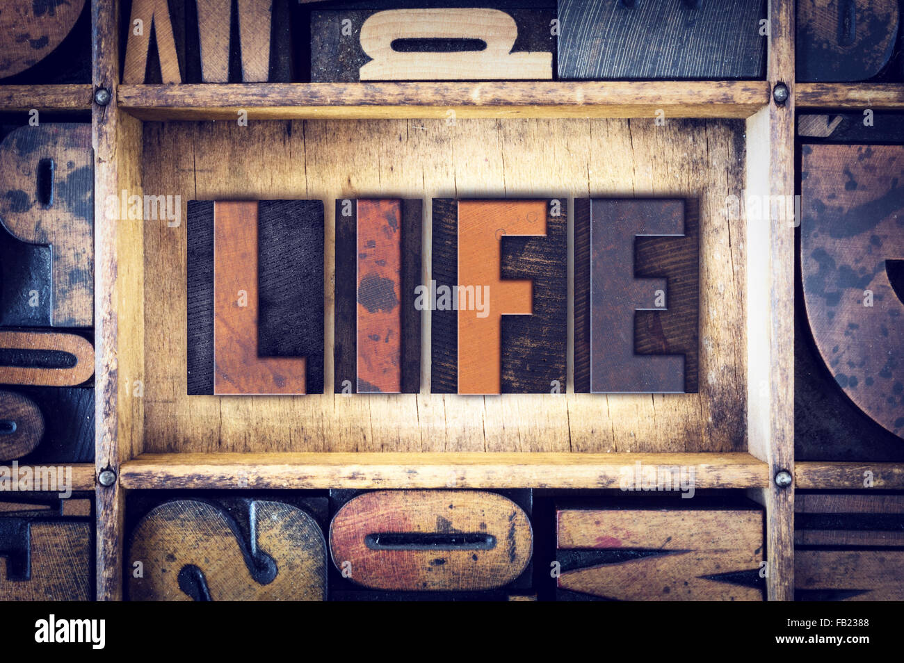 Word pro life concept theme hi-res stock photography and images - Alamy