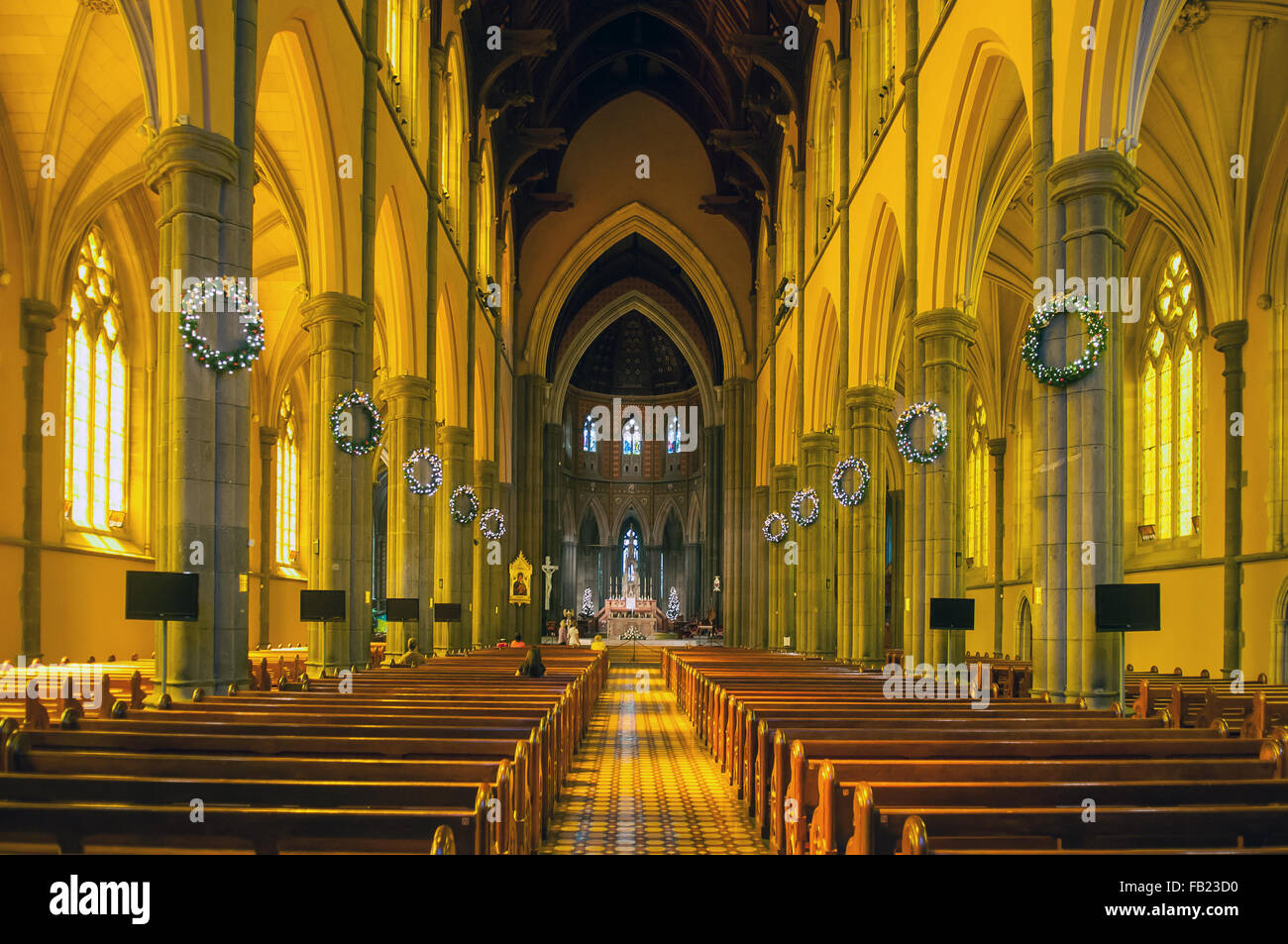 The Nave, St Patrick's Cathedral, Melbourne, Victoria, Australia Stock Photo - Alamy