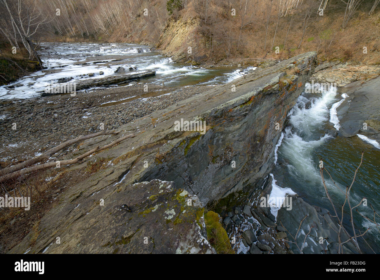 The rapids of the river in late autumn, Sakhalin Island, Russia Stock ...