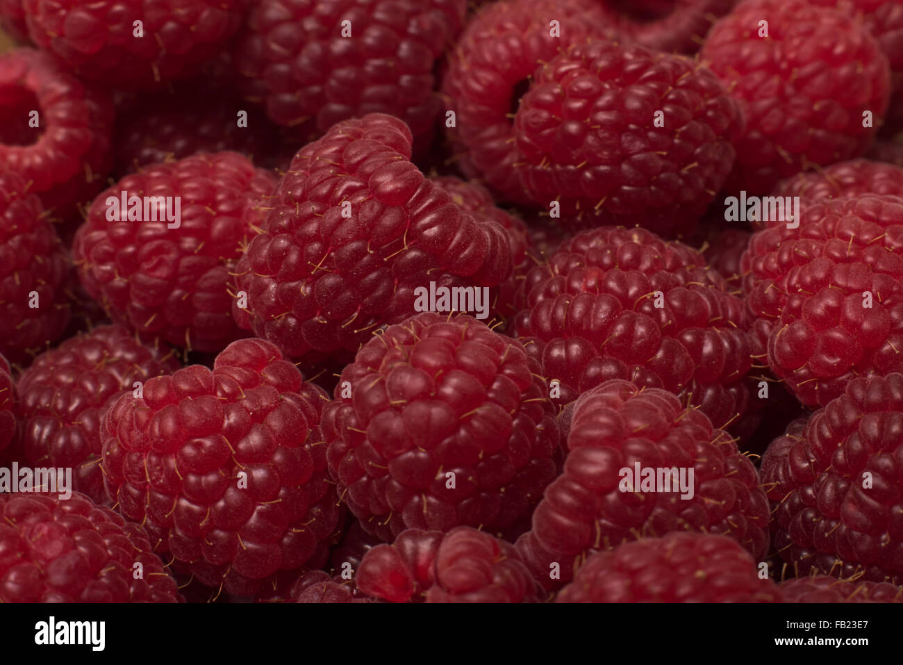 Fresh Red Raspberries Stock Photo - Alamy