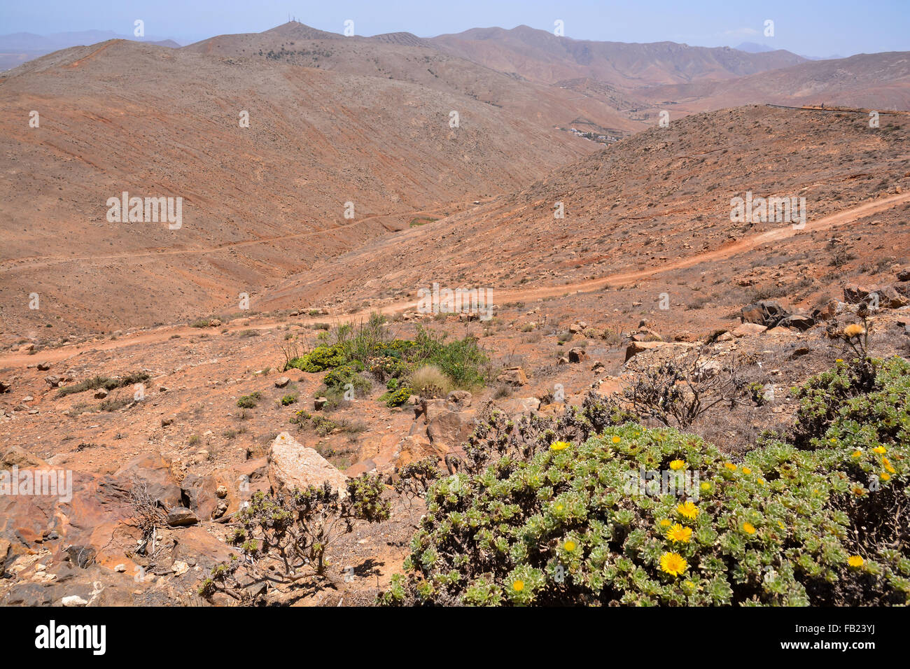 Dry Desert Landscape Stock Photo - Alamy