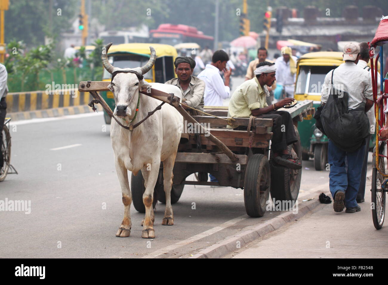 India street view Stock Photo - Alamy