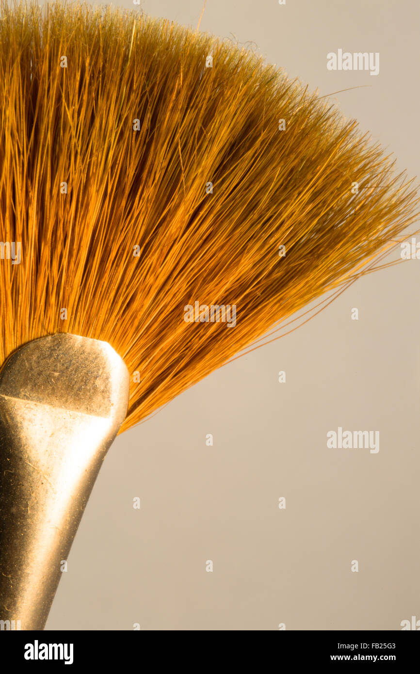 Sable fan hi-res stock photography and images - Alamy