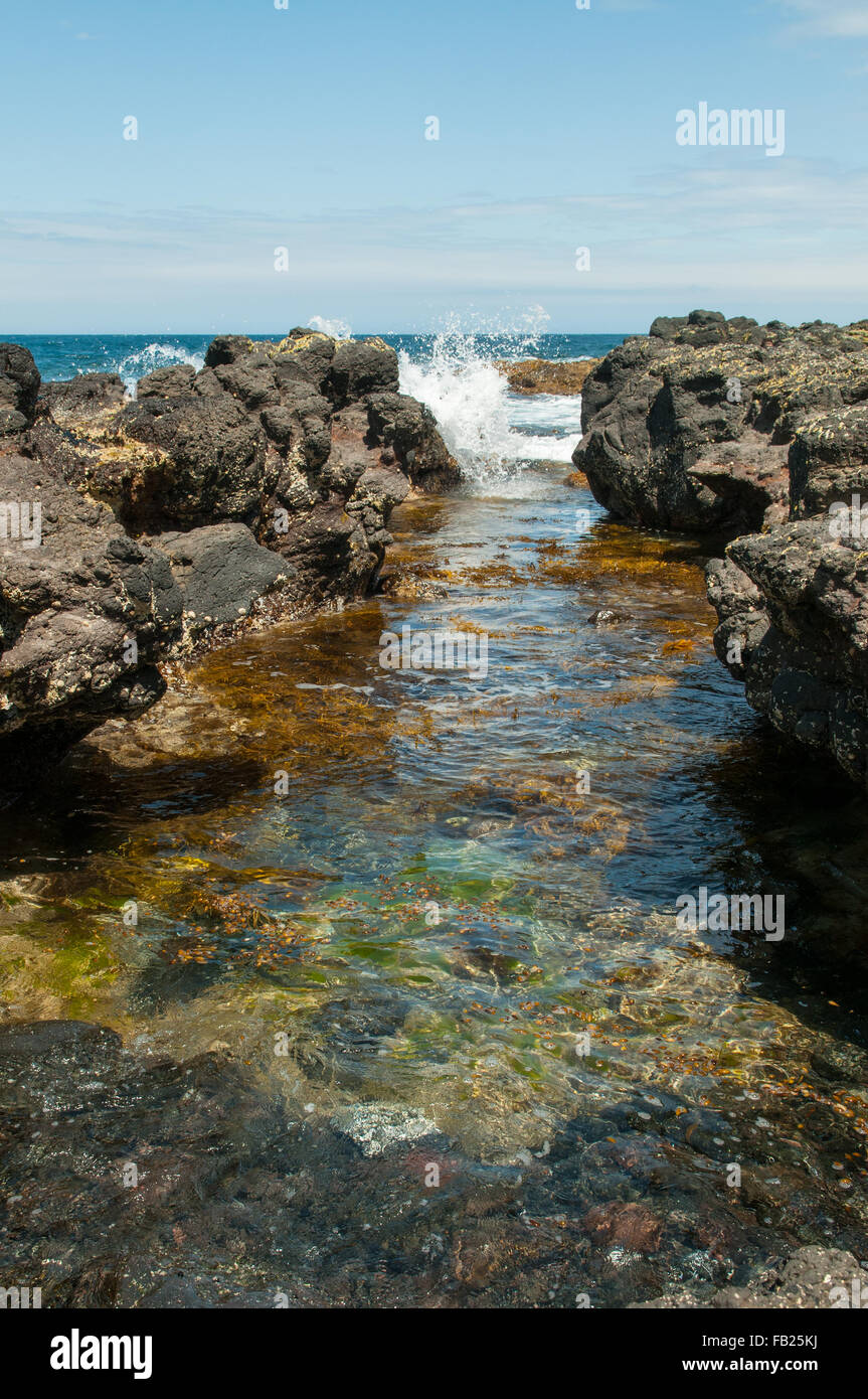 Rocks at Cape Schanck, Mornington Peninsula National Park, Victoria ...