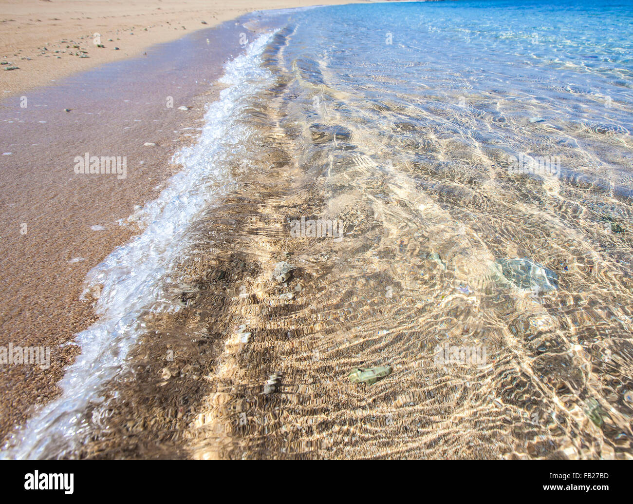 Tropical beach with clean ocean water.Sumbawa island.Indonesia Stock ...
