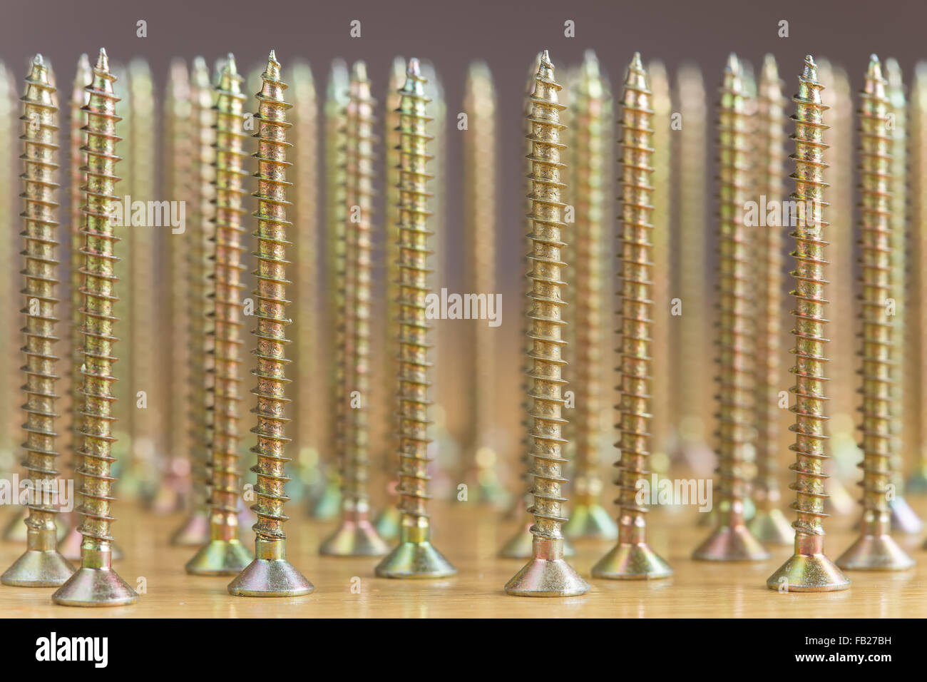 Woodscrew hi-res stock photography and images - Alamy
