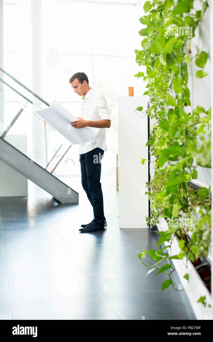 Young businessman looking document in hi-res stock photography and ...