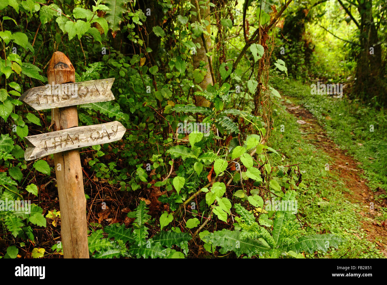 A funny wooden garden sign reading "This Way, That Way", pointing down ...