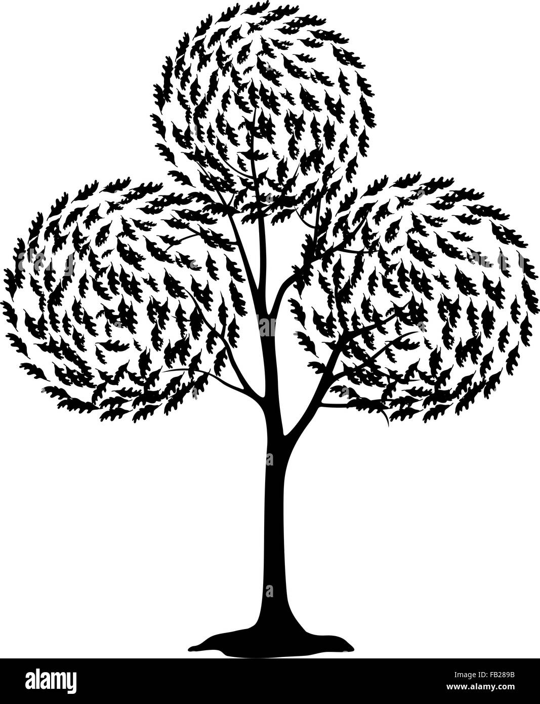 Form tree crown Black and White Stock Photos & Images - Alamy