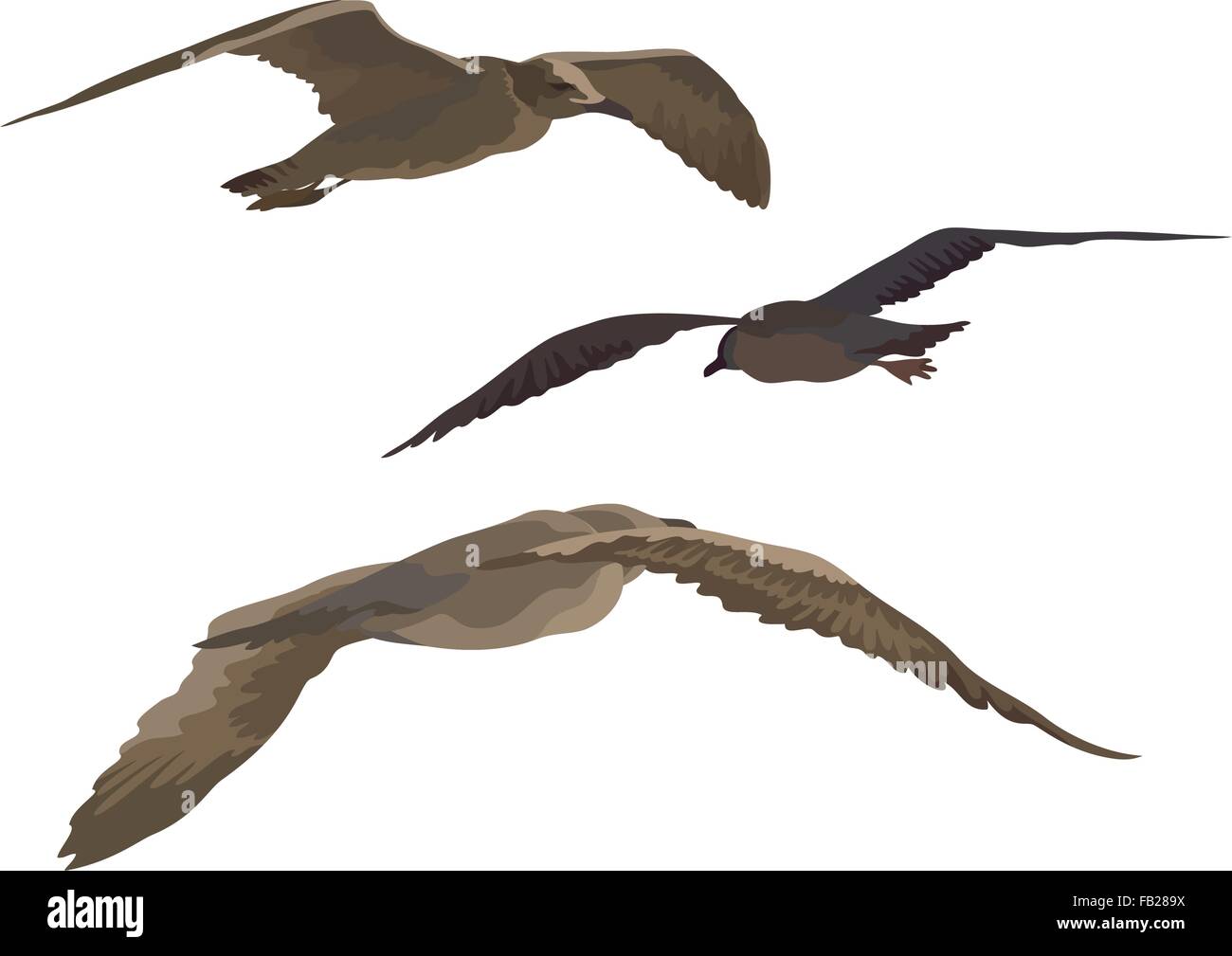 Naturalistic birds Stock Vector Images - Alamy