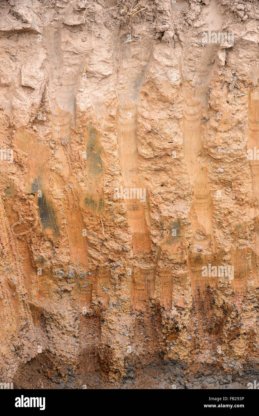 Cut of soil with different layers Stock Photo - Alamy