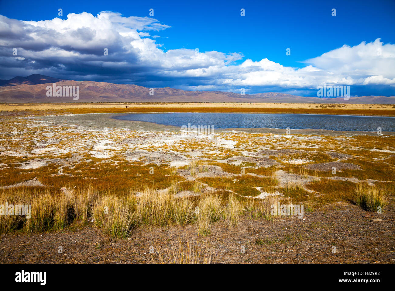 Lake in bright multi-colored steppe, mountains and blue sky in the ...