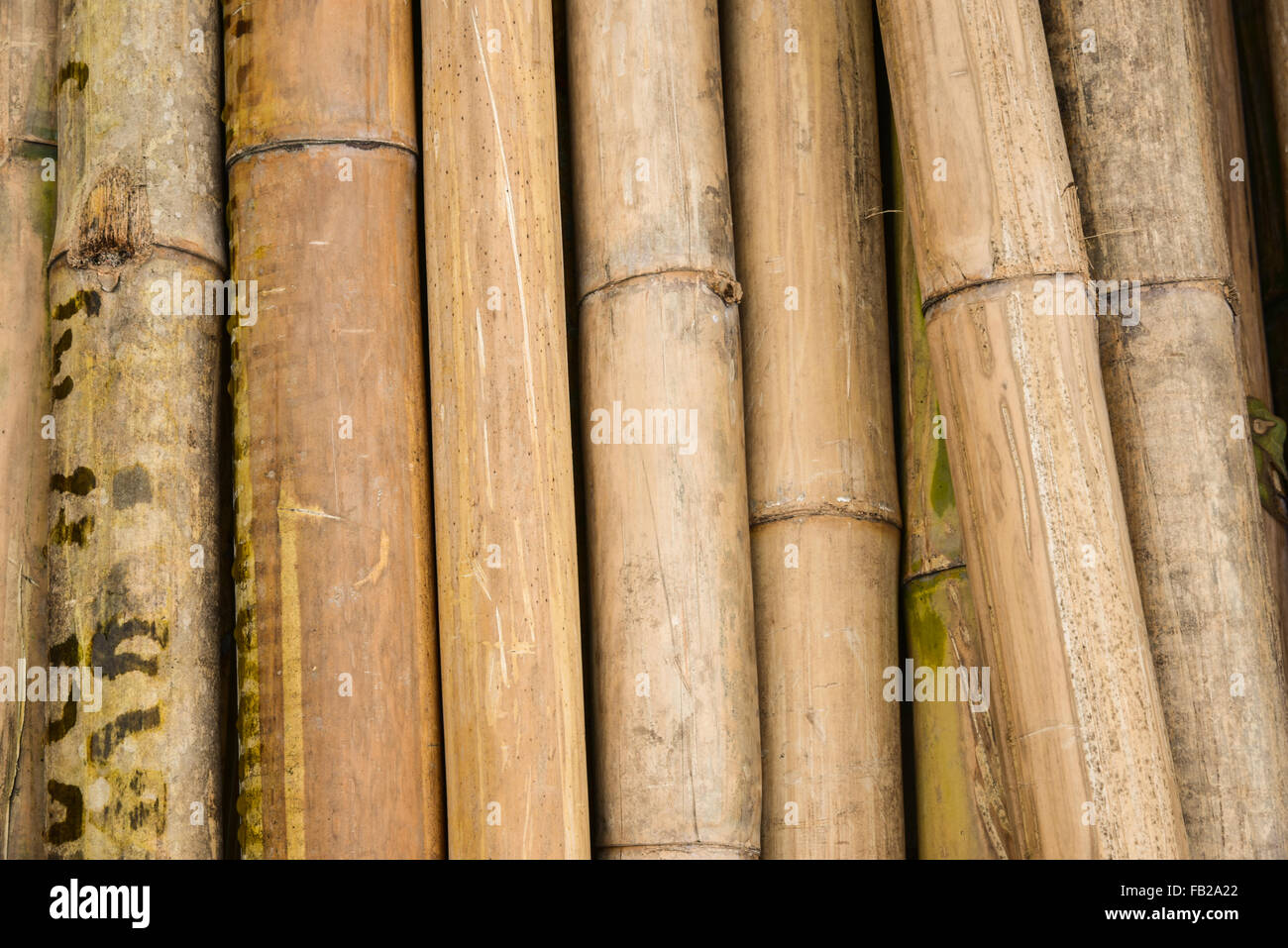 bamboo texture background Stock Photo - Alamy