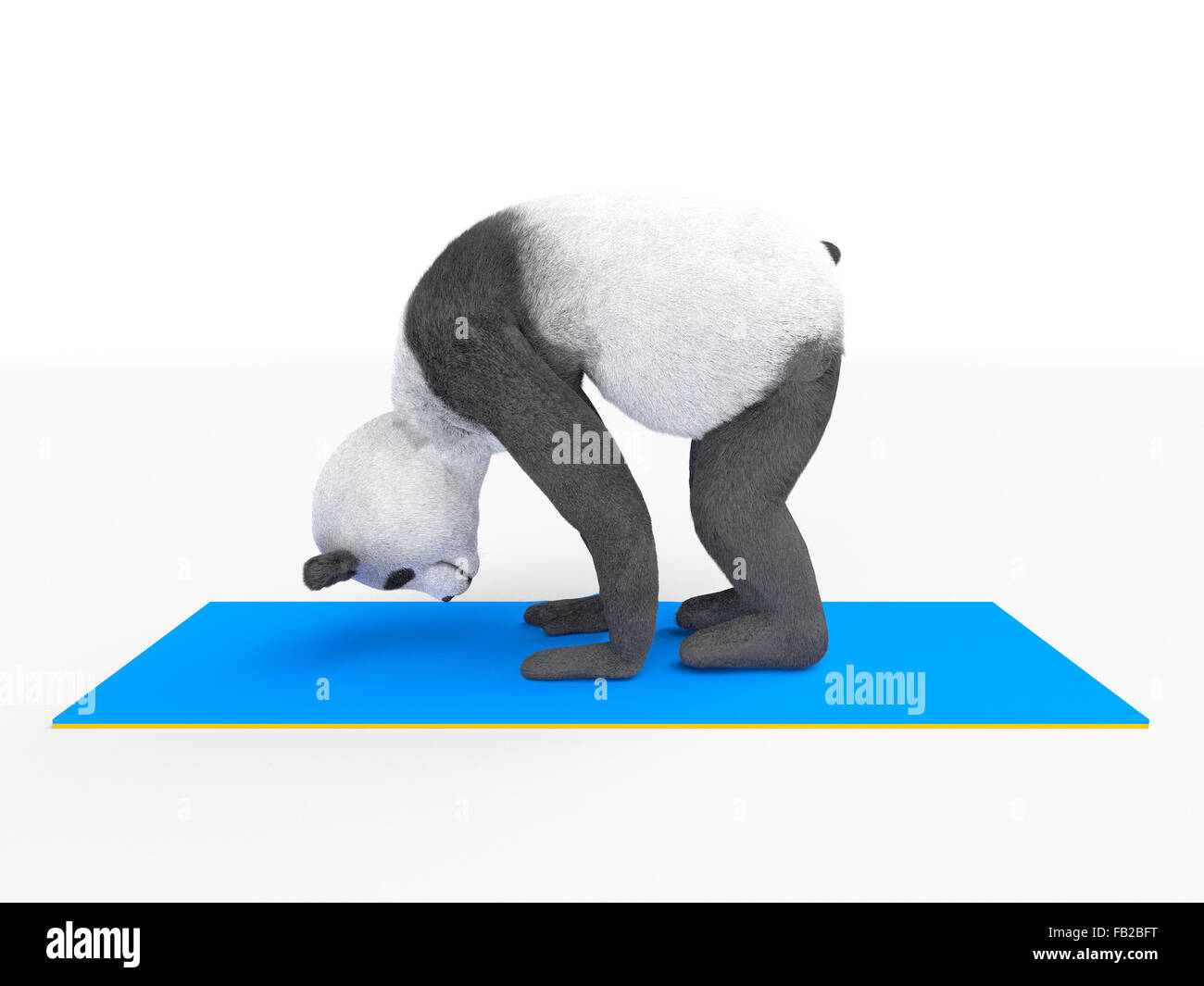 animal character personage panda doing yoga Stock Photo - Alamy