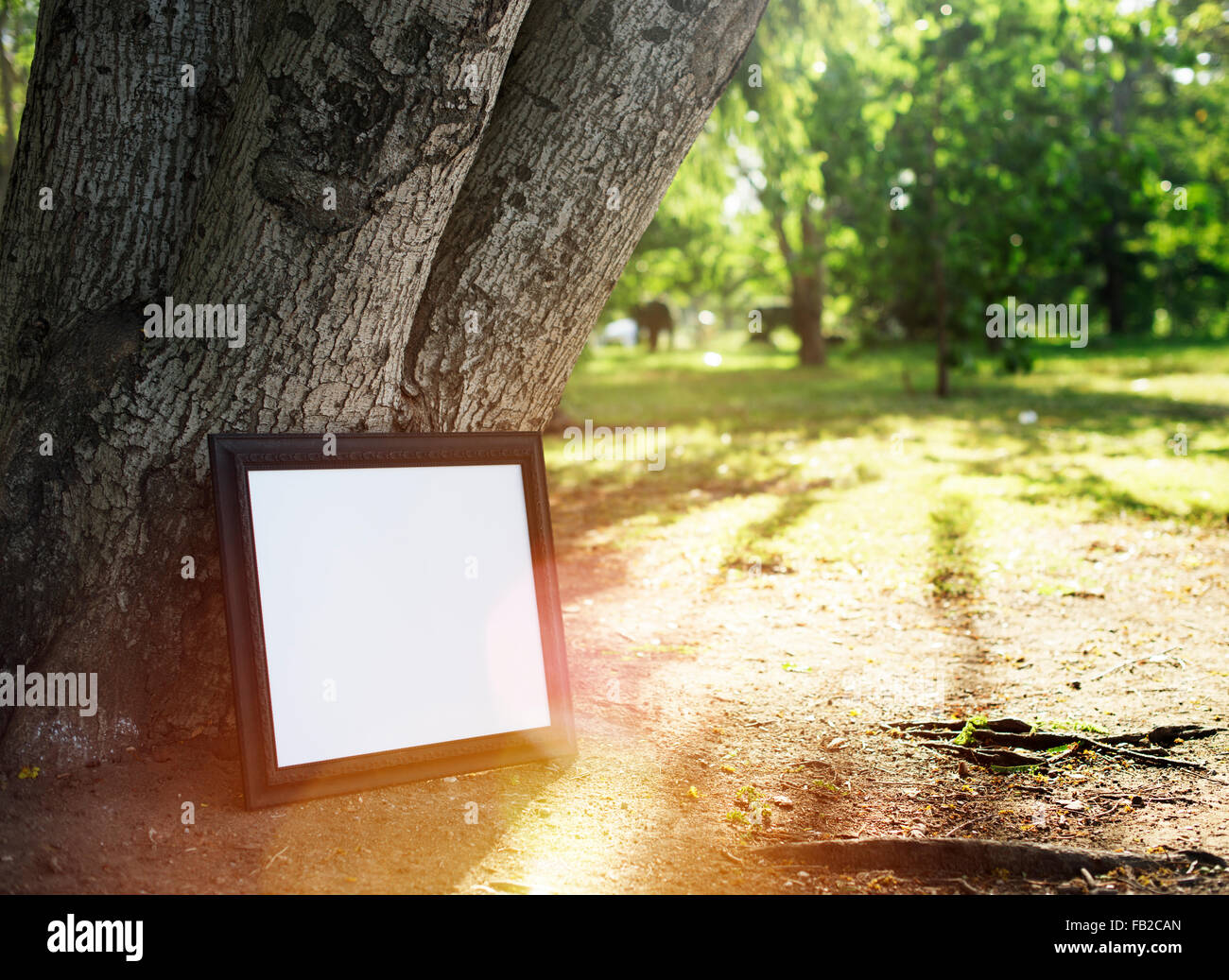 Business Picture Frame Copy Space Concept Stock Photo - Alamy