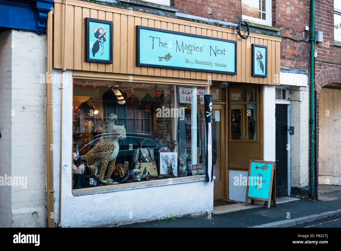 Glastonbury Somerset England UK Magpies Nest Shop Stock Photo - Alamy