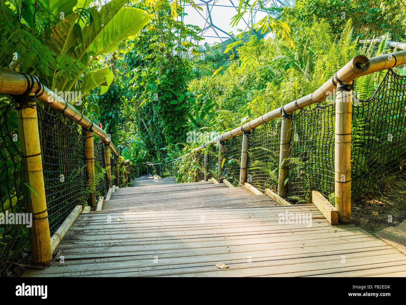 Steps indoor of the eden project Stock Photo - Alamy