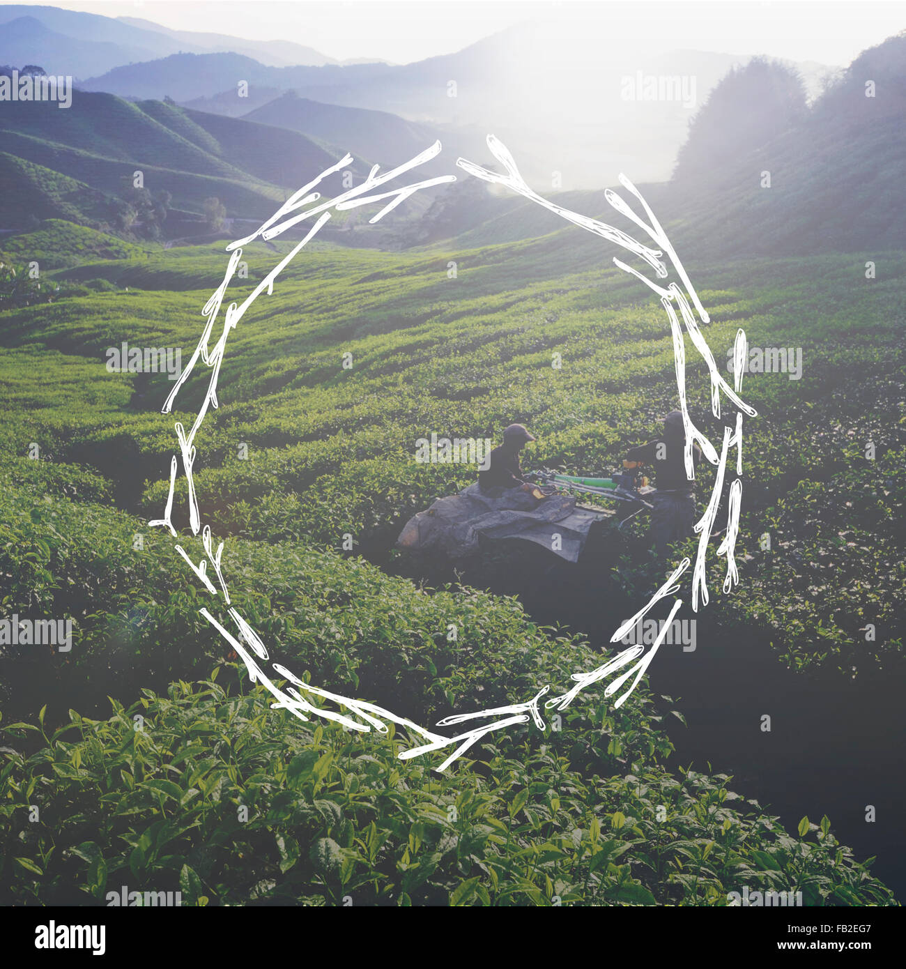 Timber Wood Frame Agriculture Harvesting Concept Stock Photo - Alamy