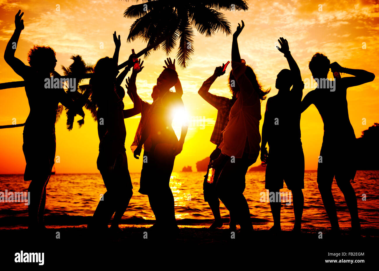 Beach Summer Party Enjoyment Happiness Youth Culture Concept Stock ...