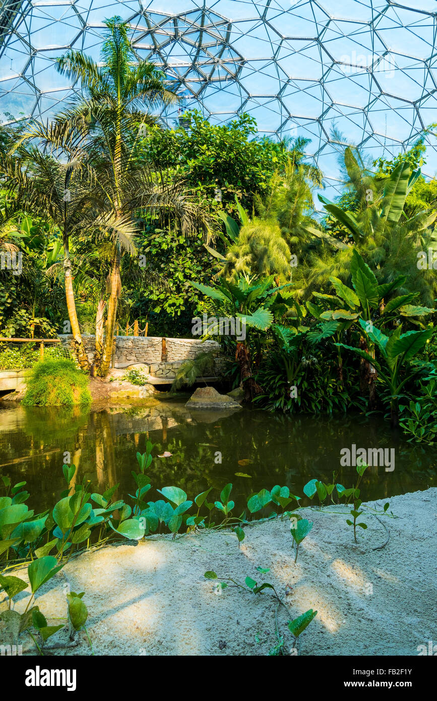 Eden Project indoor Stock Photo - Alamy