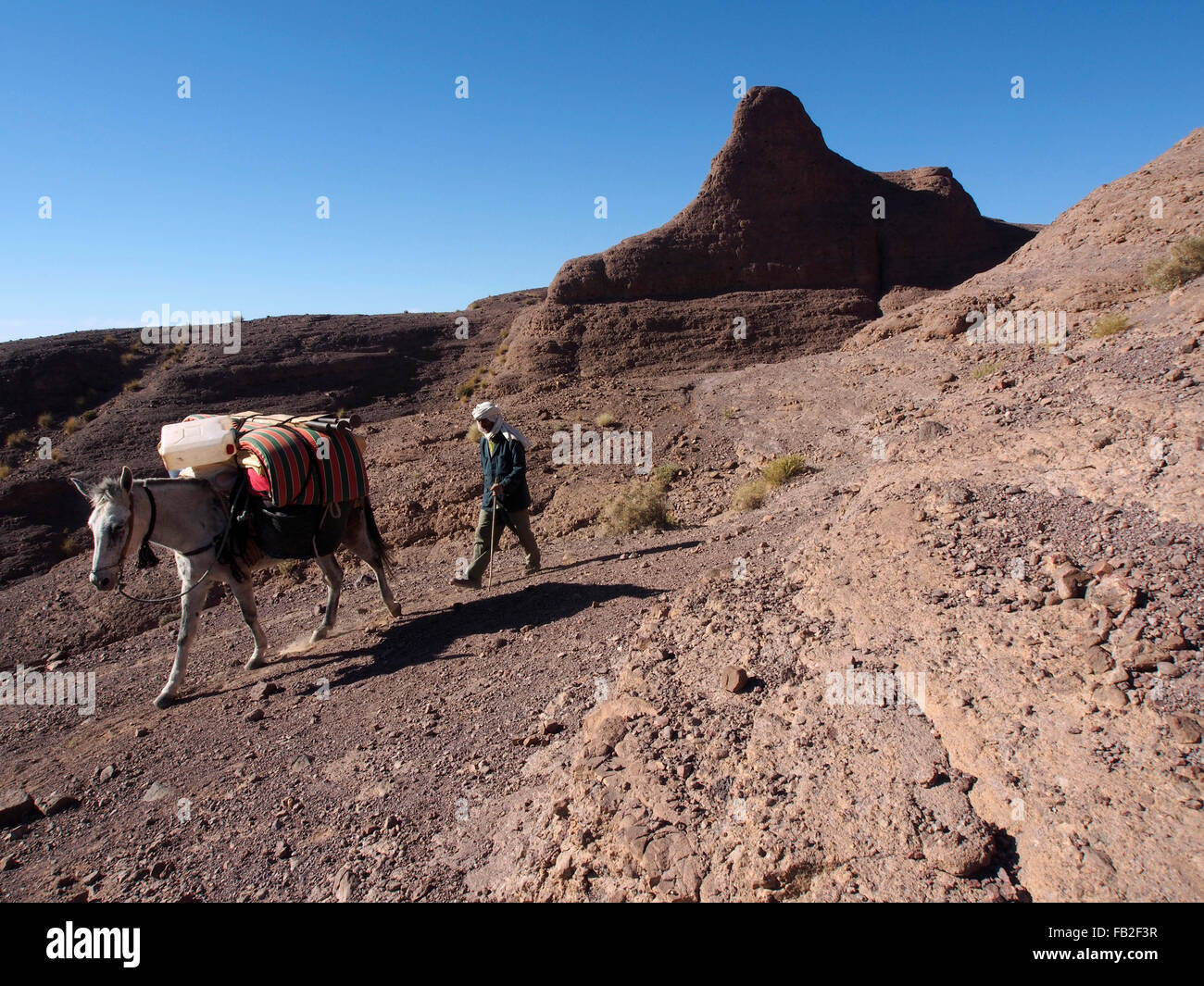 Mule trekking towards Bab n'Ali, Jbel Saghro, Morocco Stock Photo - Alamy