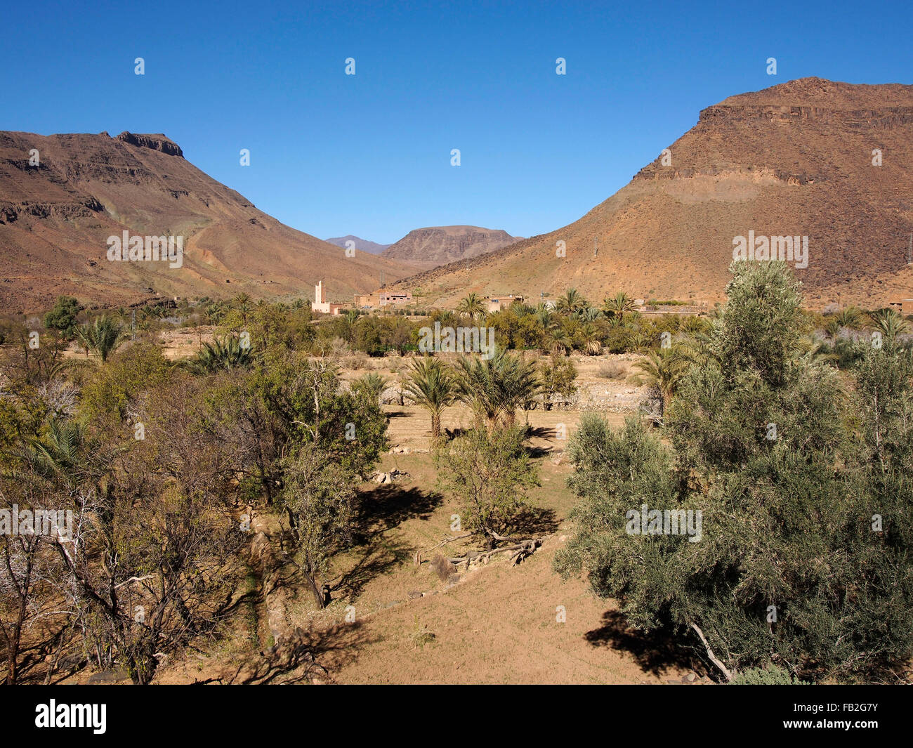 Palm trees near village of Sete (Site), Jbel Saghro, Morocco Stock ...