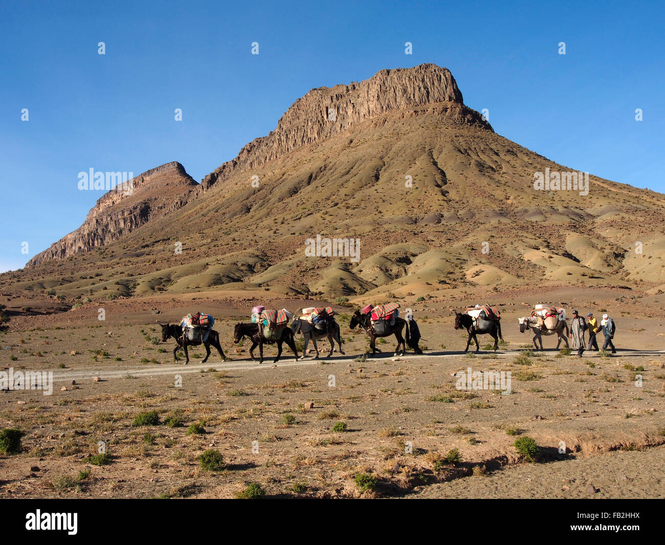 Trekking near Taoulauat, Jbel Saghro, Morocco Stock Photo - Alamy