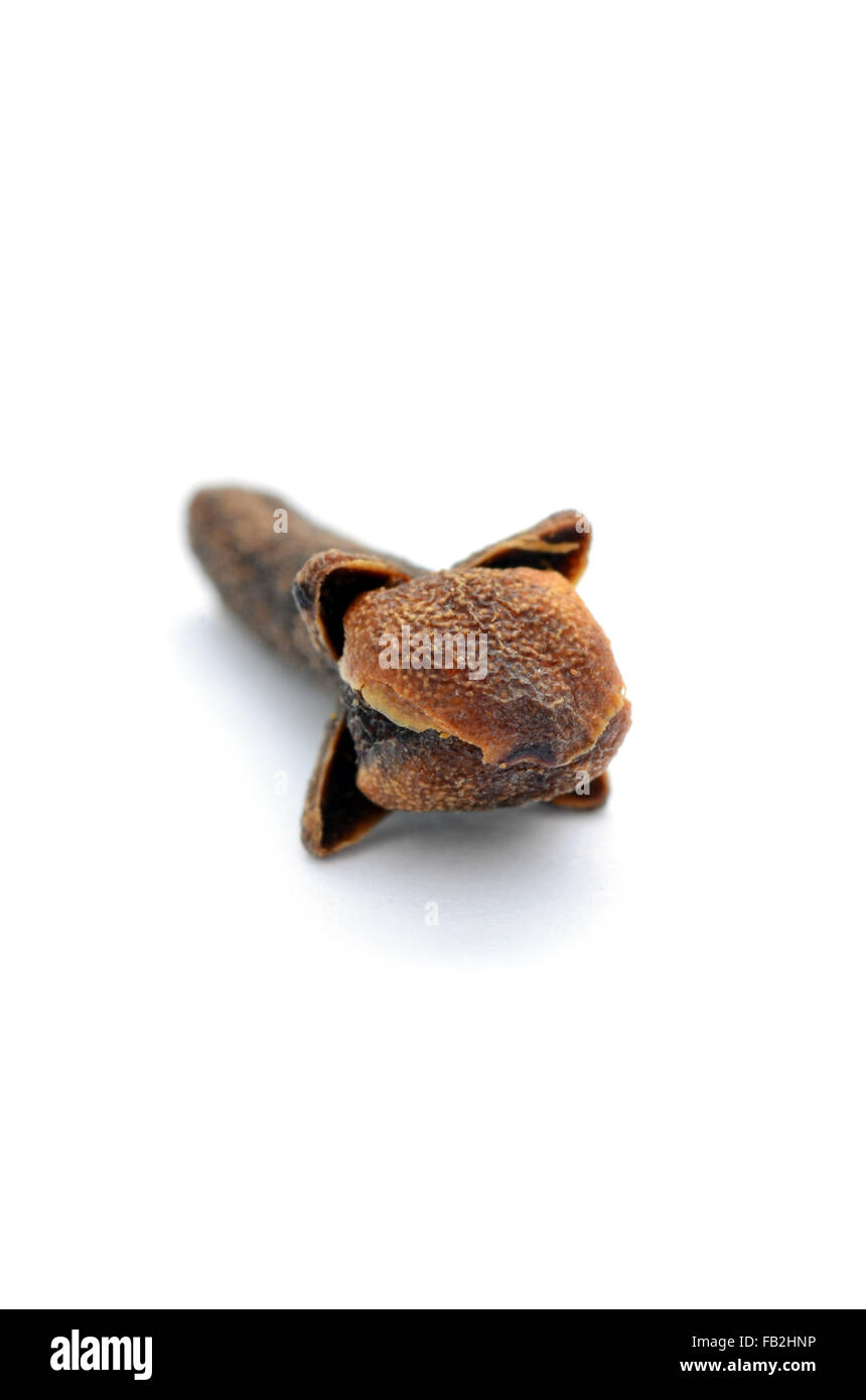 Macro close up organic Cut Out Stock Images & Pictures - Alamy