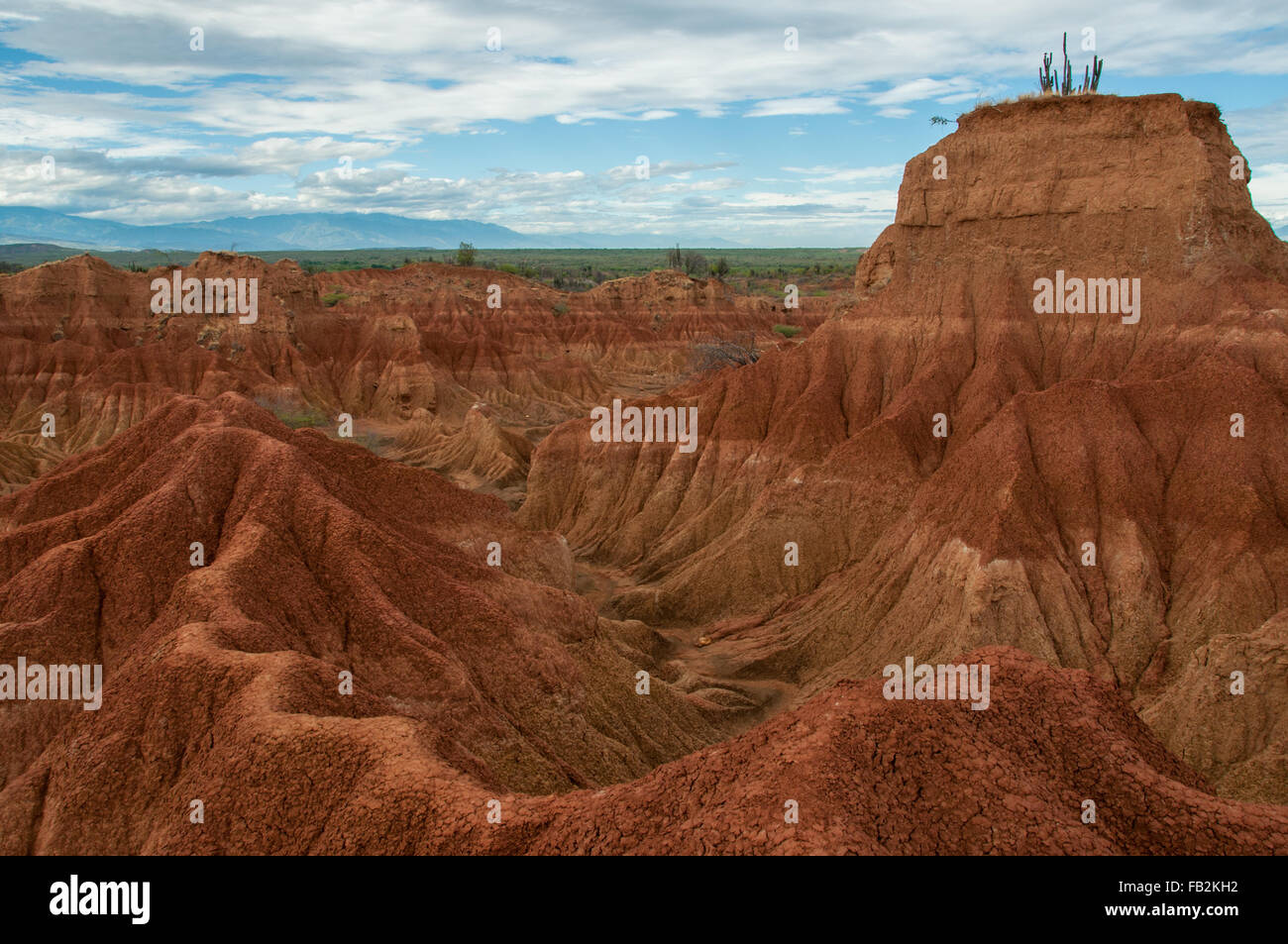 Cliff with cactus and valley of red orange sand stone rock formation in ...