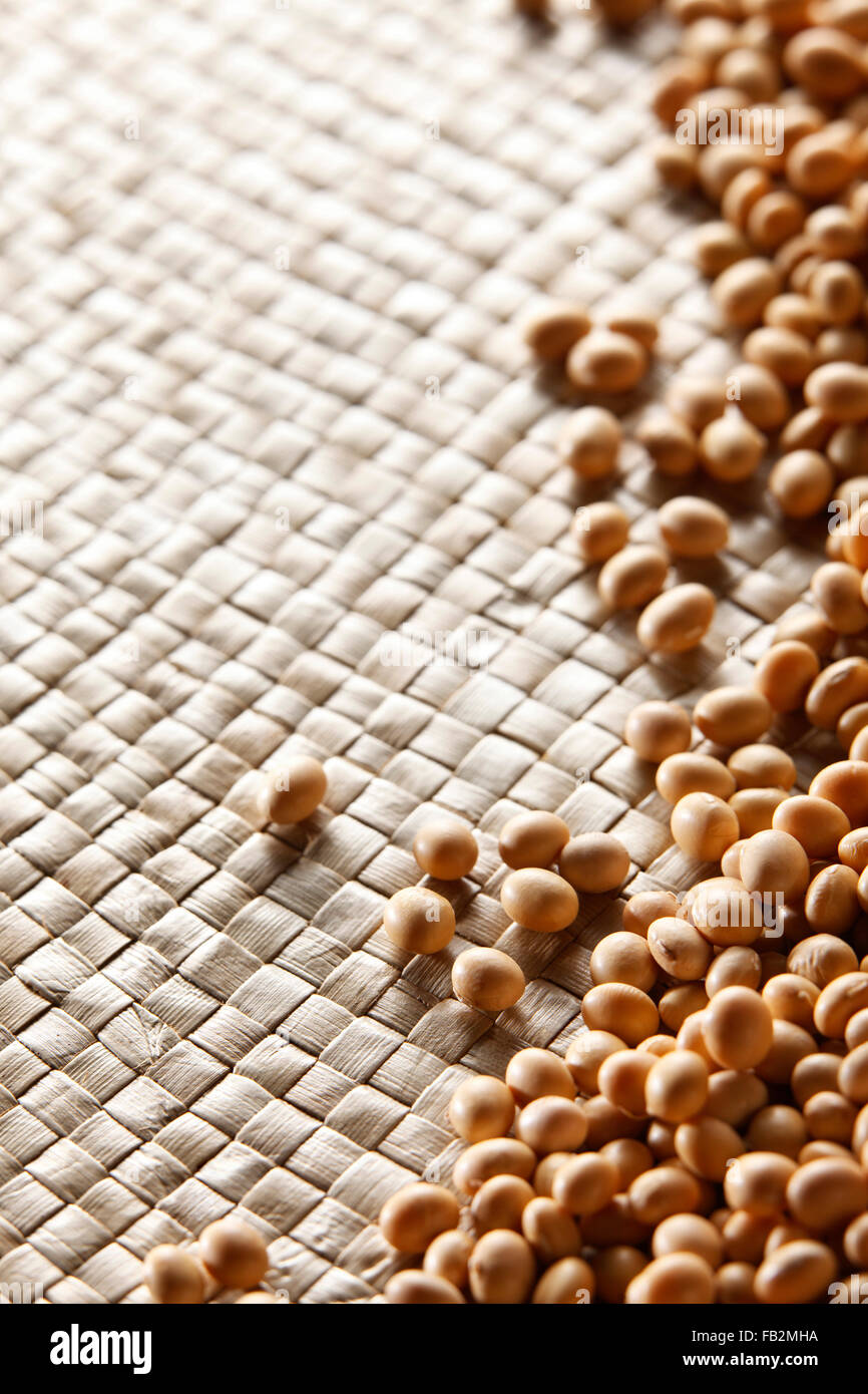 stock images of the soya bean Stock Photo - Alamy