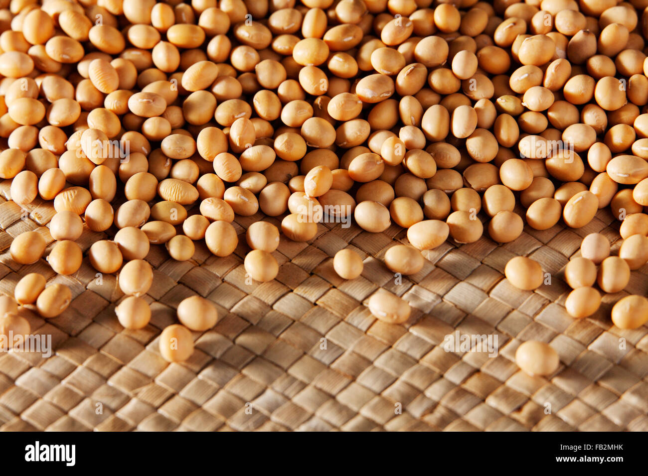 stock images of the soya bean Stock Photo - Alamy