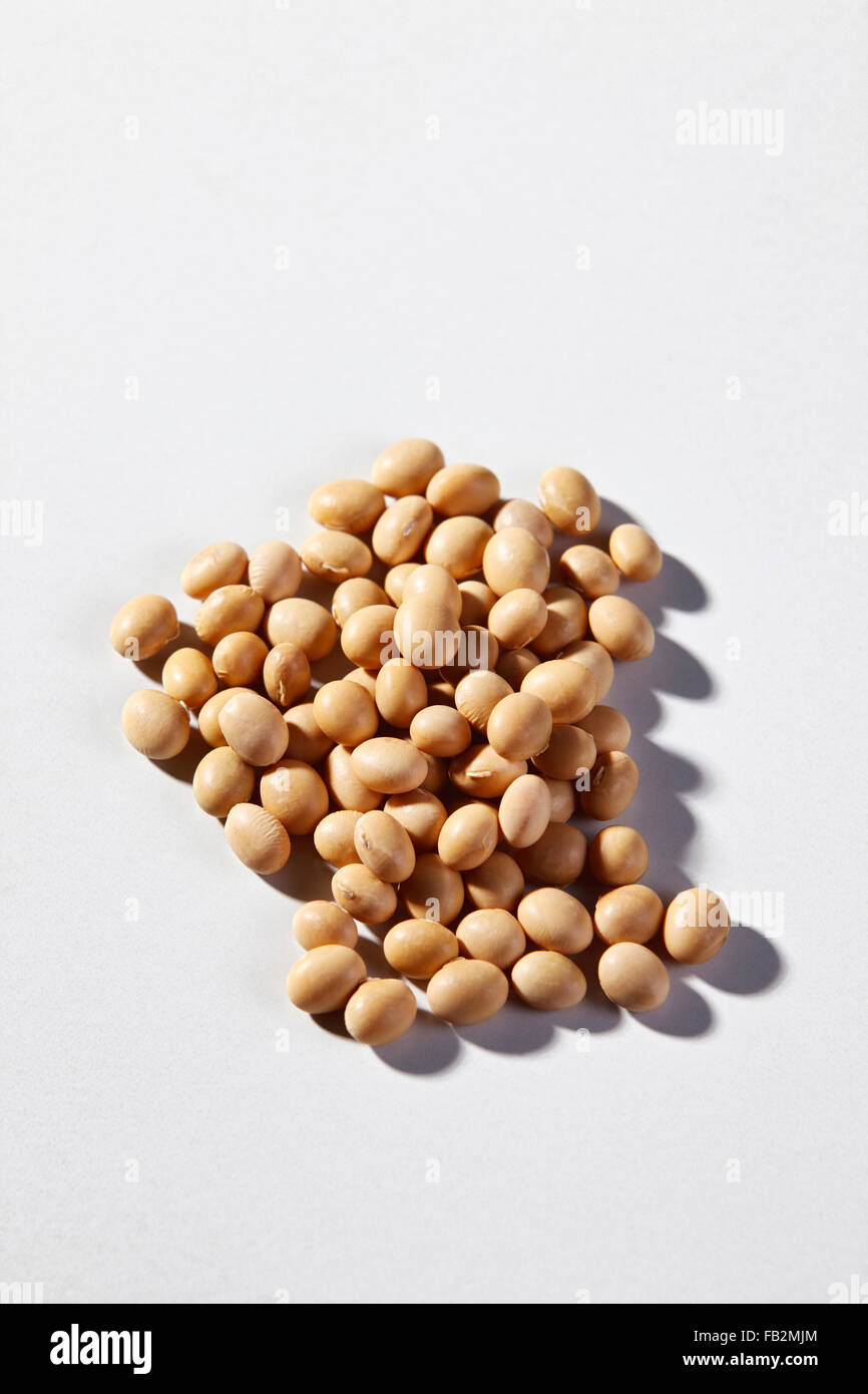 stock images of the soya bean Stock Photo - Alamy
