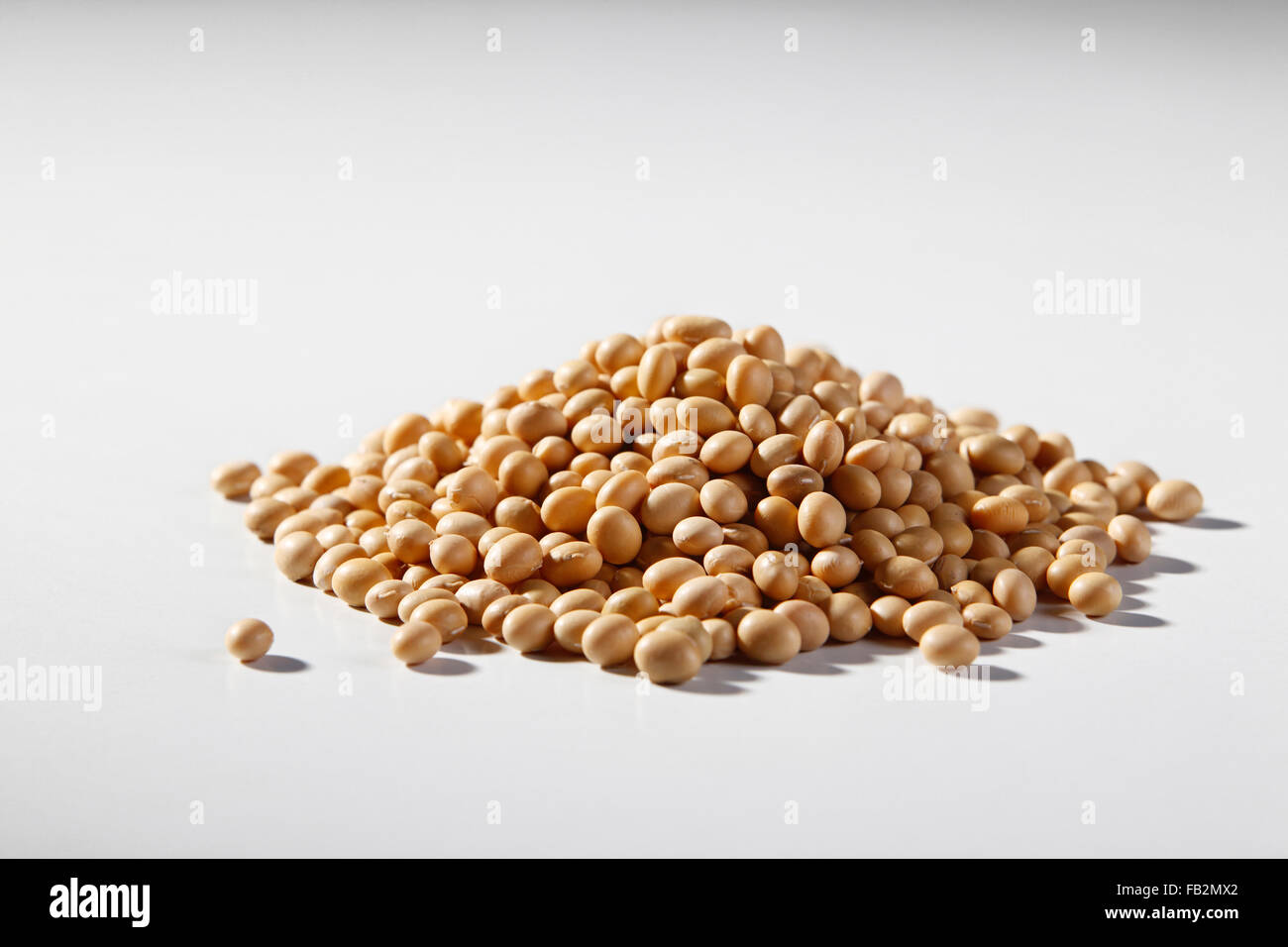 stock images of the soya bean Stock Photo - Alamy