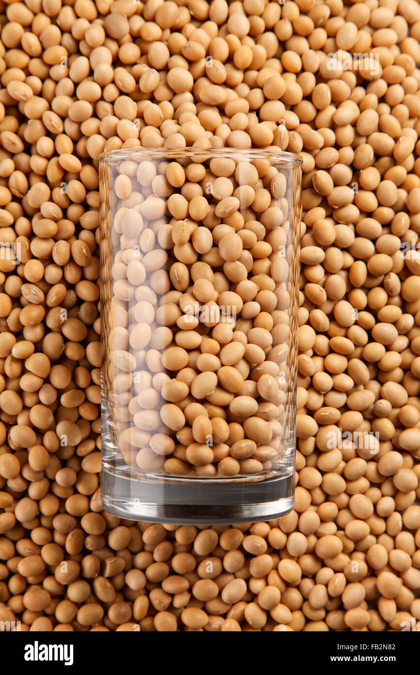 stock image of the soya bean Stock Photo - Alamy