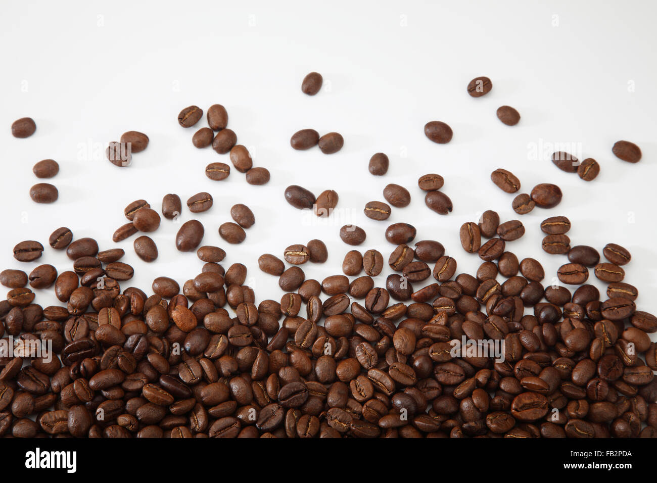 coffee bean on the plain background Stock Photo - Alamy