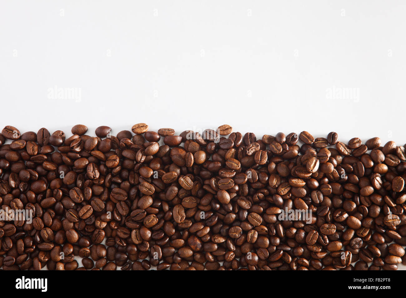 close up of the coffee bean on the plain background Stock Photo - Alamy