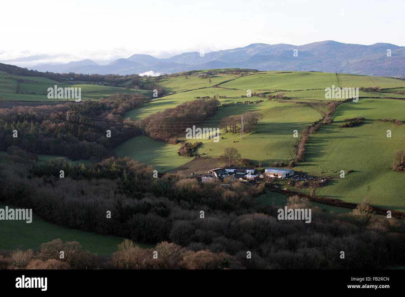 Woodland wales farm hi-res stock photography and images - Alamy