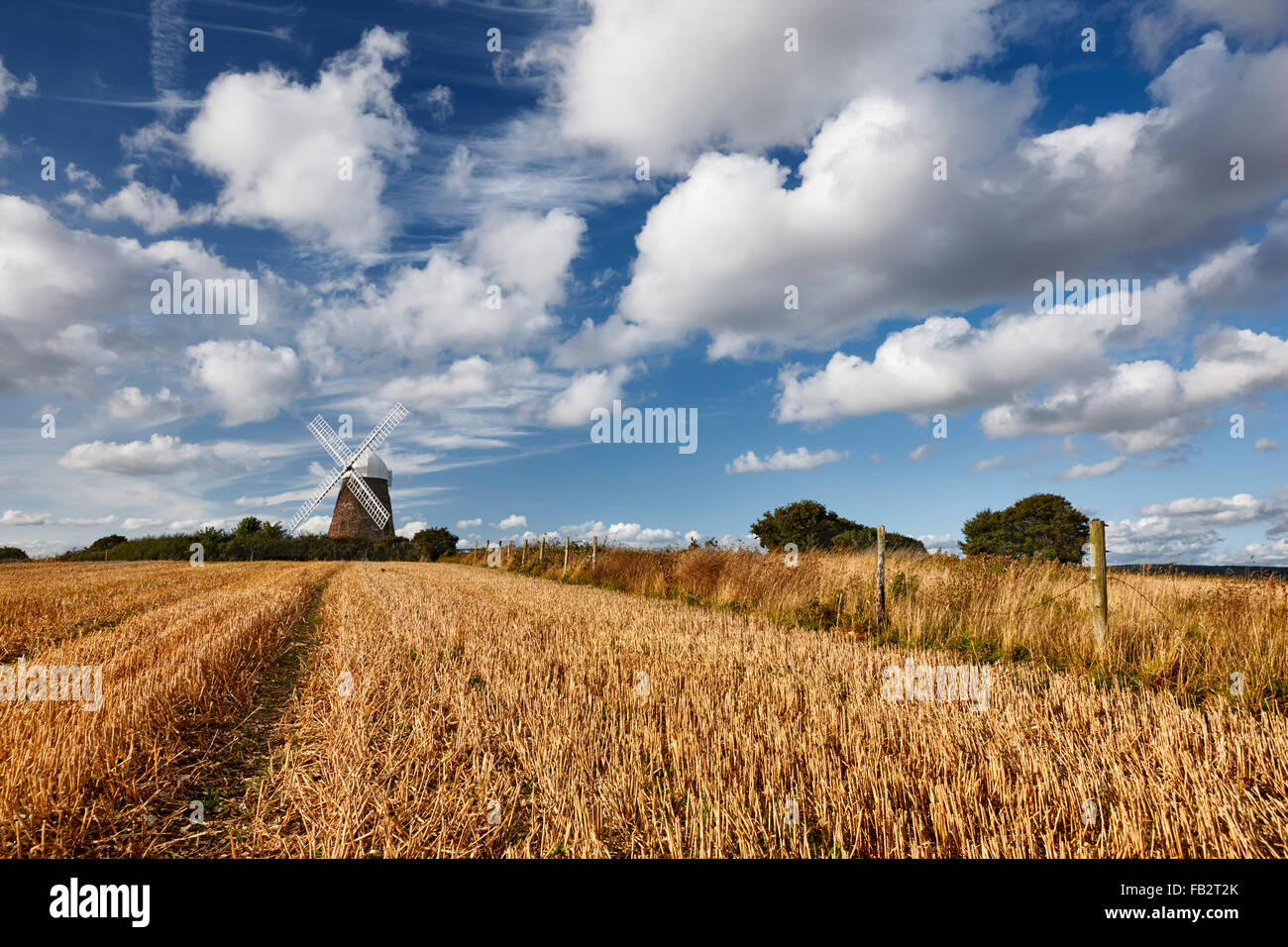 Halnaker hi-res stock photography and images - Alamy