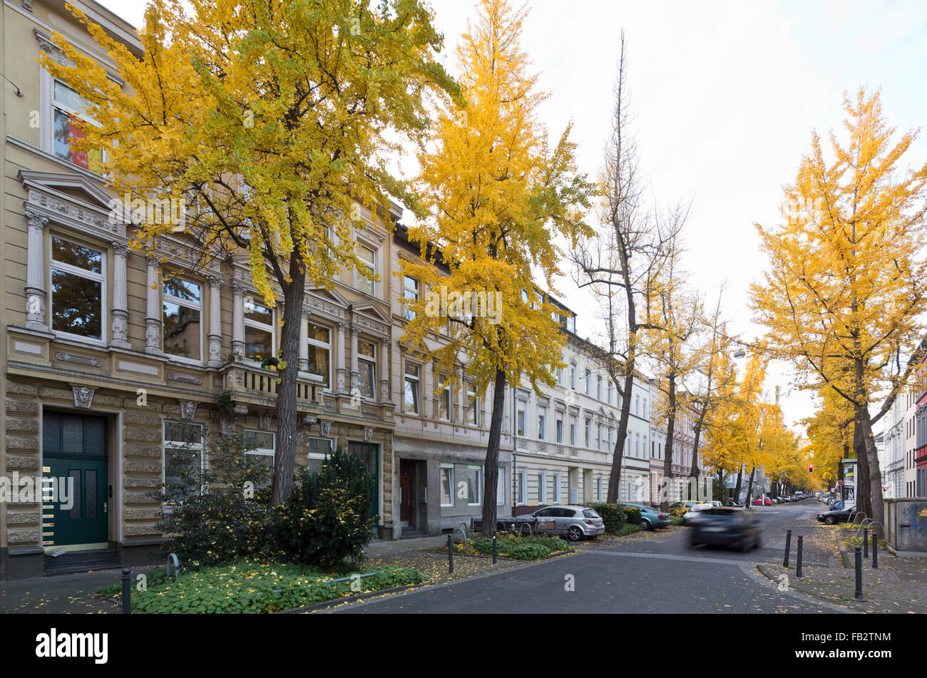 Prinz Ferdinand Strasse Krefeld