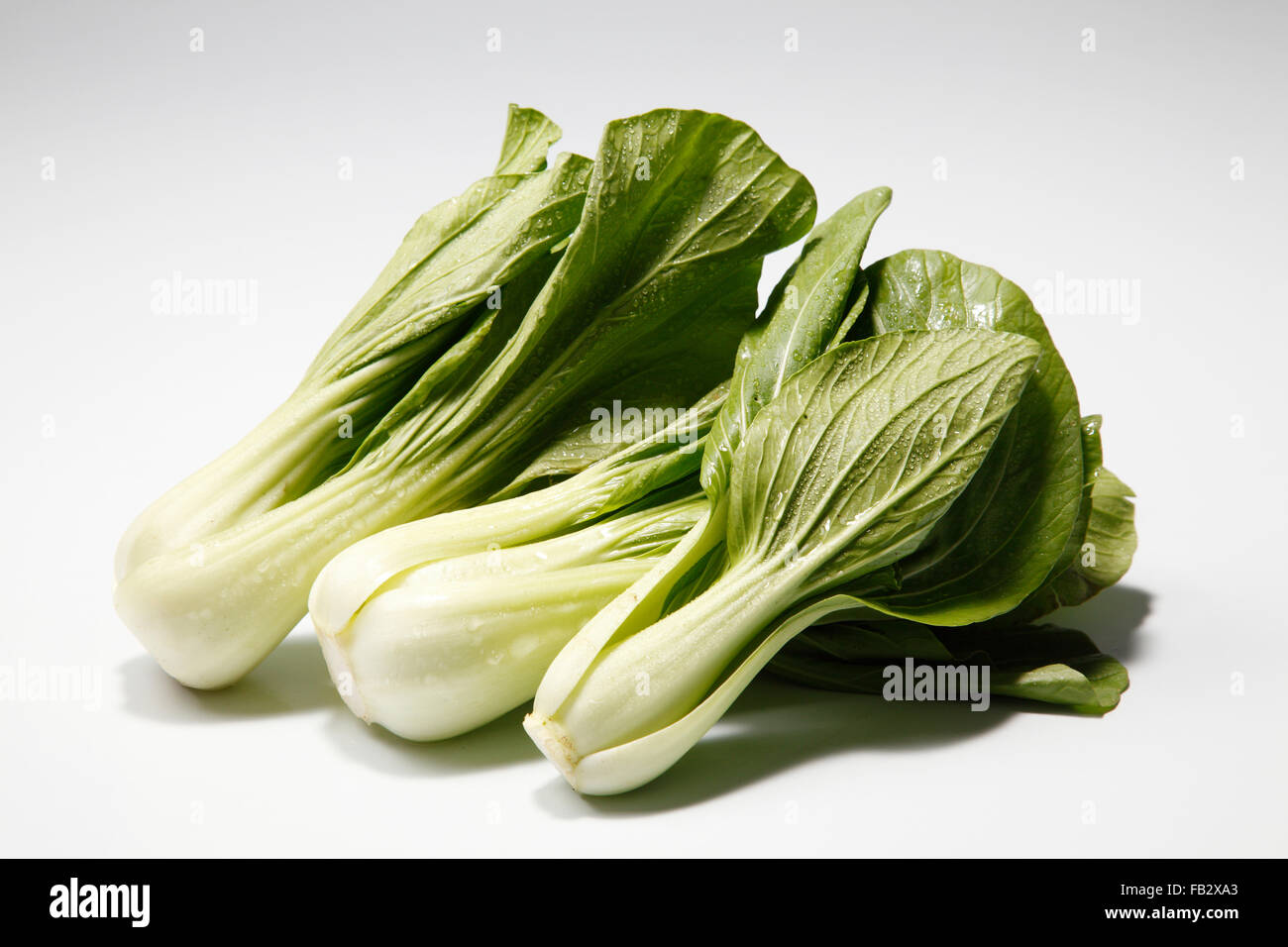 fresh pak Choy isolated on plain background Stock Photo - Alamy