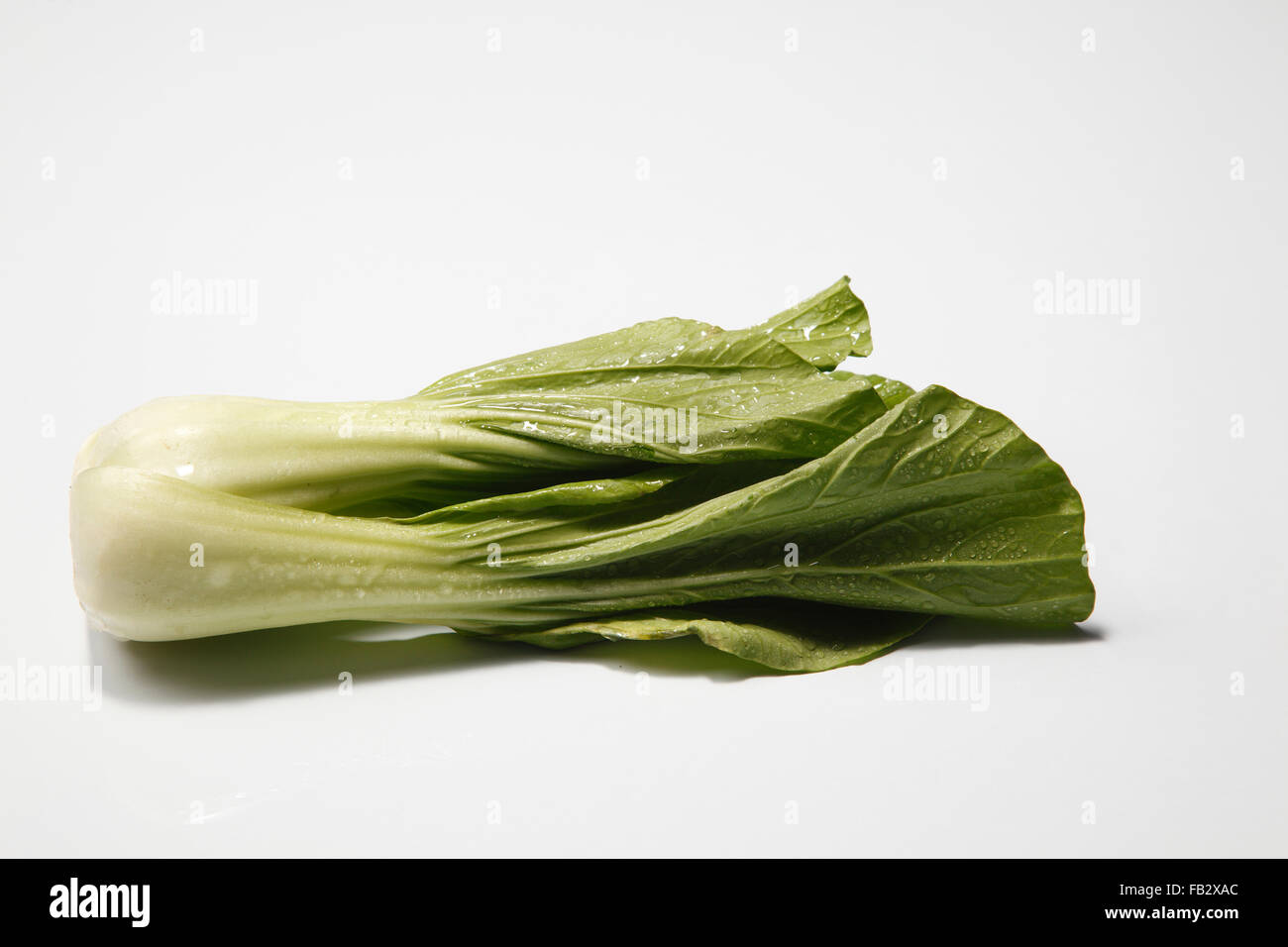 fresh pak Choy isolated on plain background Stock Photo - Alamy